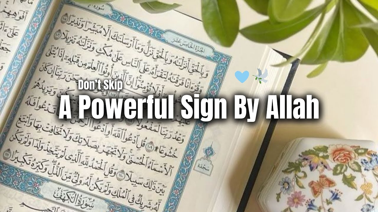 A POWERFUL SIGN FROM ALLAH 🕊️ - YouTube