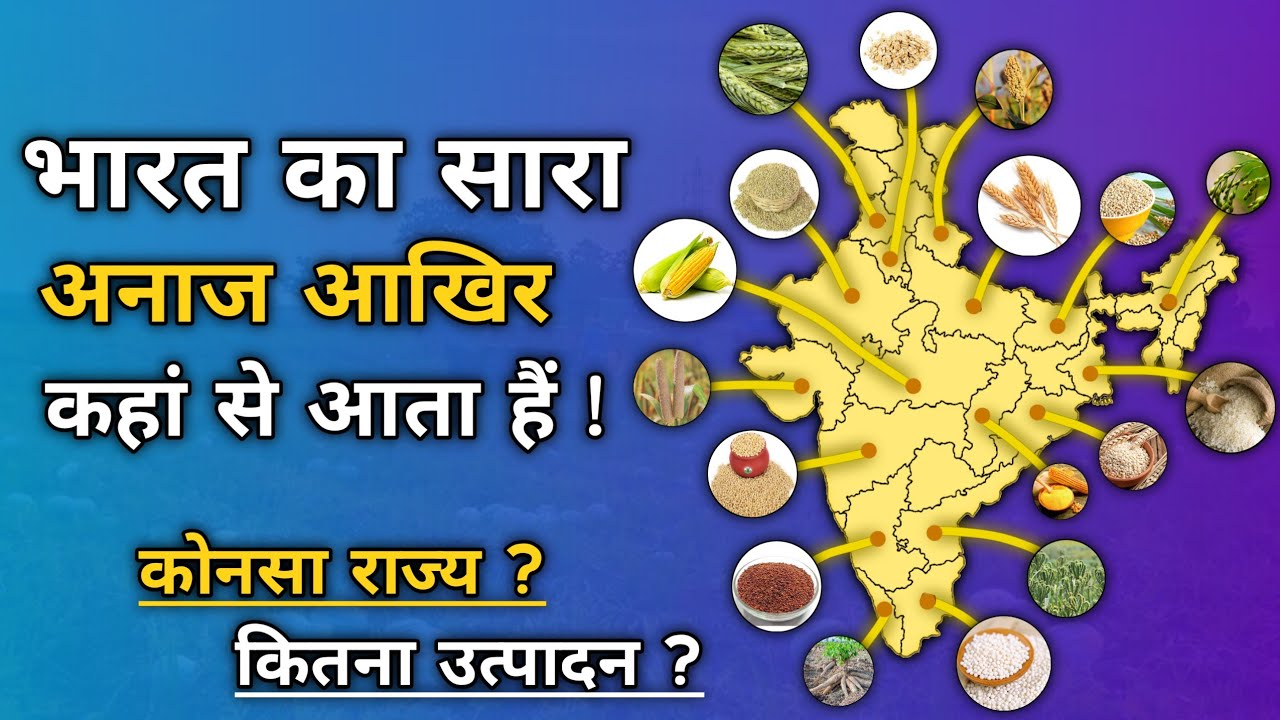 भारत का अनाज आखिर कहां से आता है | Top Grain Producing States In India ...