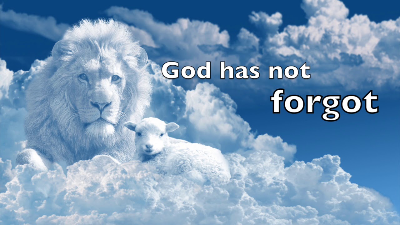 GOD HAS NOT FORGOT by Tonex (Audio with lyrics) - YouTube Music