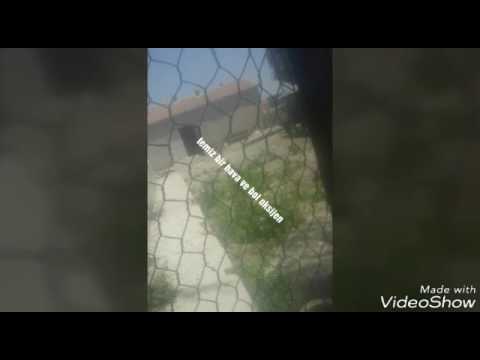 Cevre ile alakalı slaytlar cektim cok guzel oldu