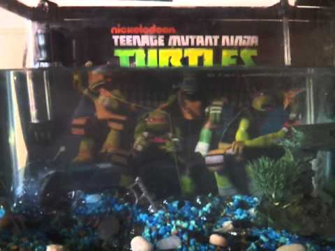 Nickelodeon Teenage Mutant Ninja Turtles fish tank - YouTube