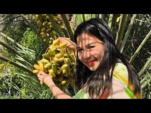 Part 2 | Tara sa Farm I May Farm sa Dubai I GREENLAND FARM | Margham ...
