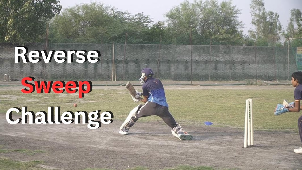 रिवर्स स्वीप चैलेंज | Reverse Sweep Challenge #cricket #batting # ...