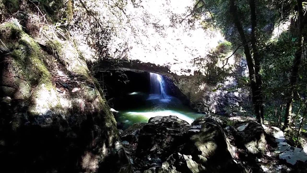 早早計劃中 - 澳洲之旅 - Glow Worm cave - Natural Bridge - Springbrook National ...