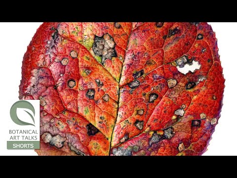 CAPTIVATED BY COLOUR - Crystal Shin (Botanical Art Talk - extract ...