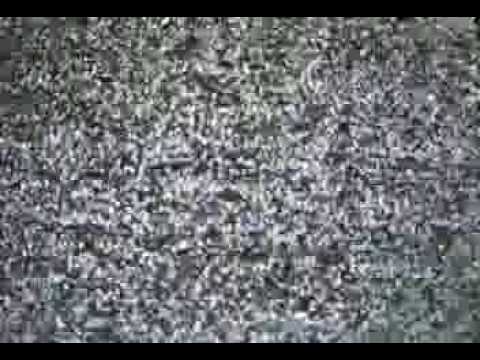 Ruis ZOnder geluid - YouTube