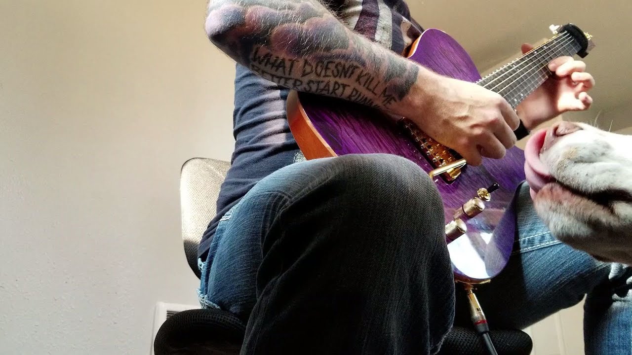 Kiesel S7 Demo (Purple 7 String Tele Goodness) - YouTube