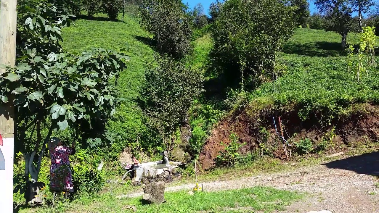 Rize findikli cennet köyu özgenler mah.. - YouTube