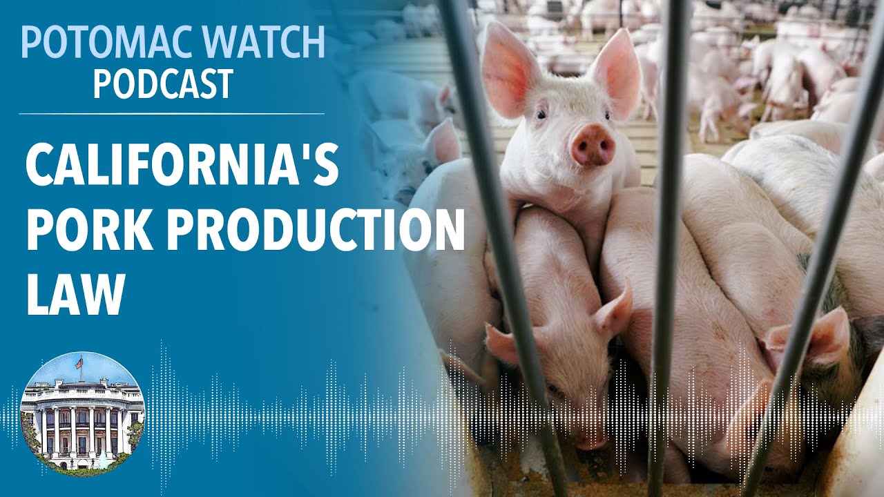 California's Pork Production Law | Potomac Watch Podcast: WSJ Opinion ...