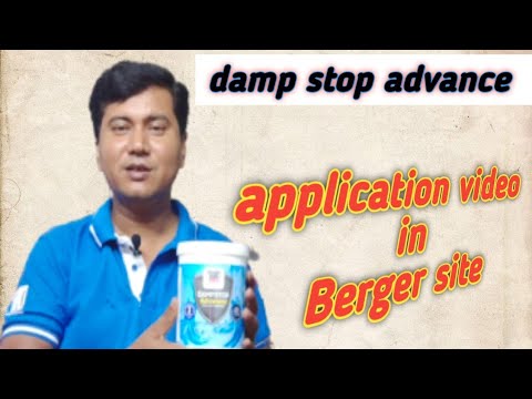 damp stop advance, Berger home shield, rainbow painters & damping ...