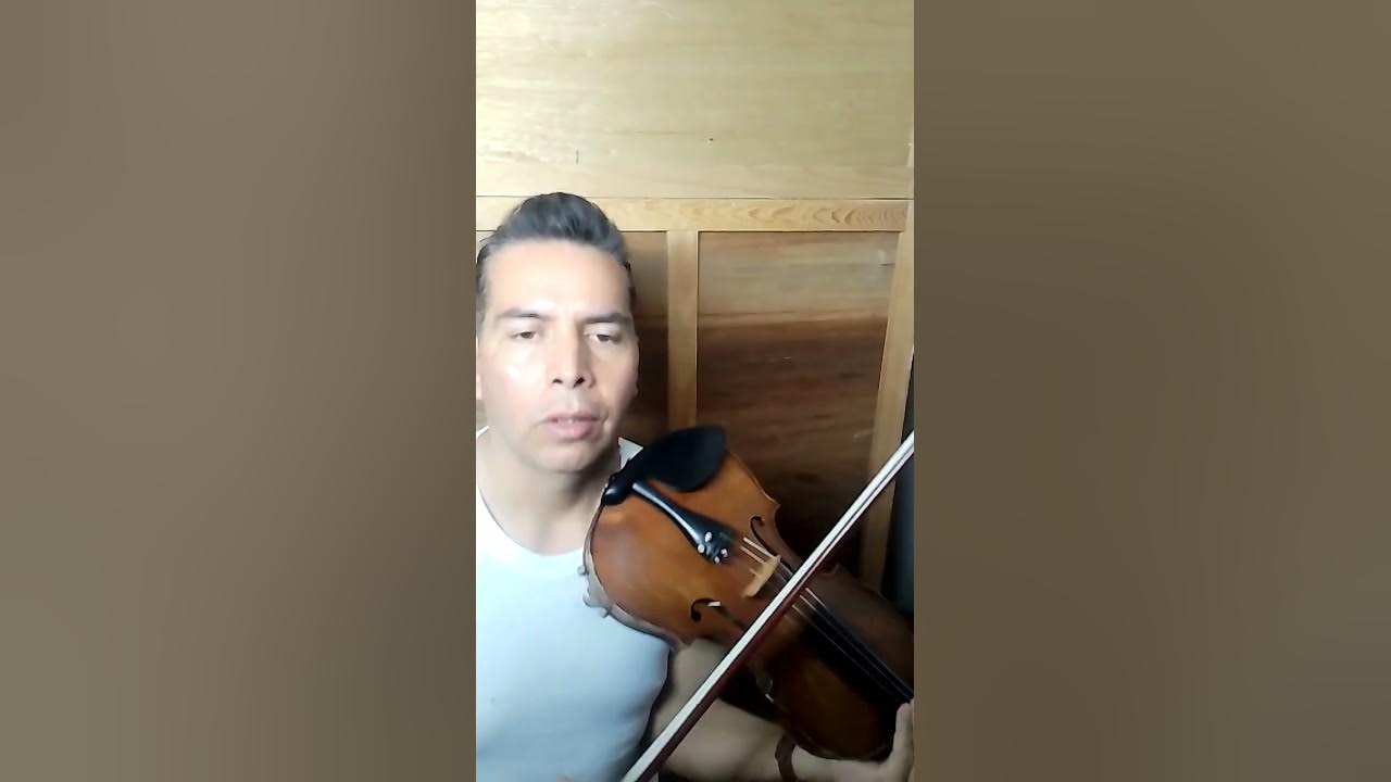 los laureles, violín garibaldi - YouTube