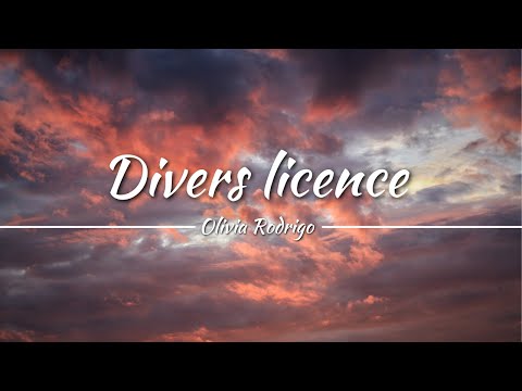Olivia Rodrigo - Divers license