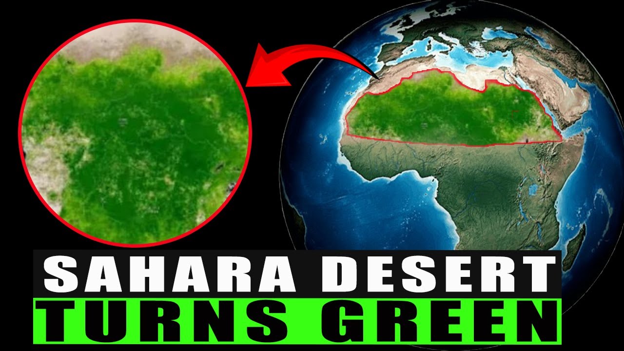 New Satellite Images Reveal Sahara Desert Is Turning Green: Should We ...
