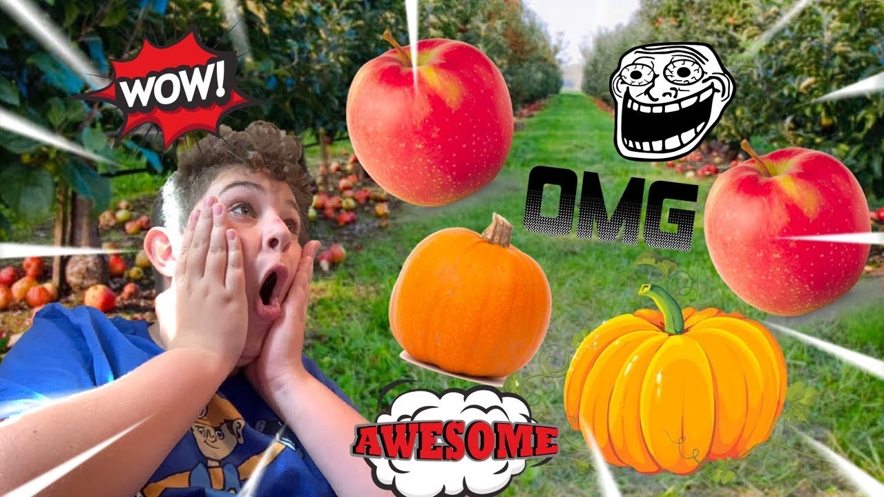 Fun Apple Picking and Pumpkin Picking + Donut Taste Test! - YouTube