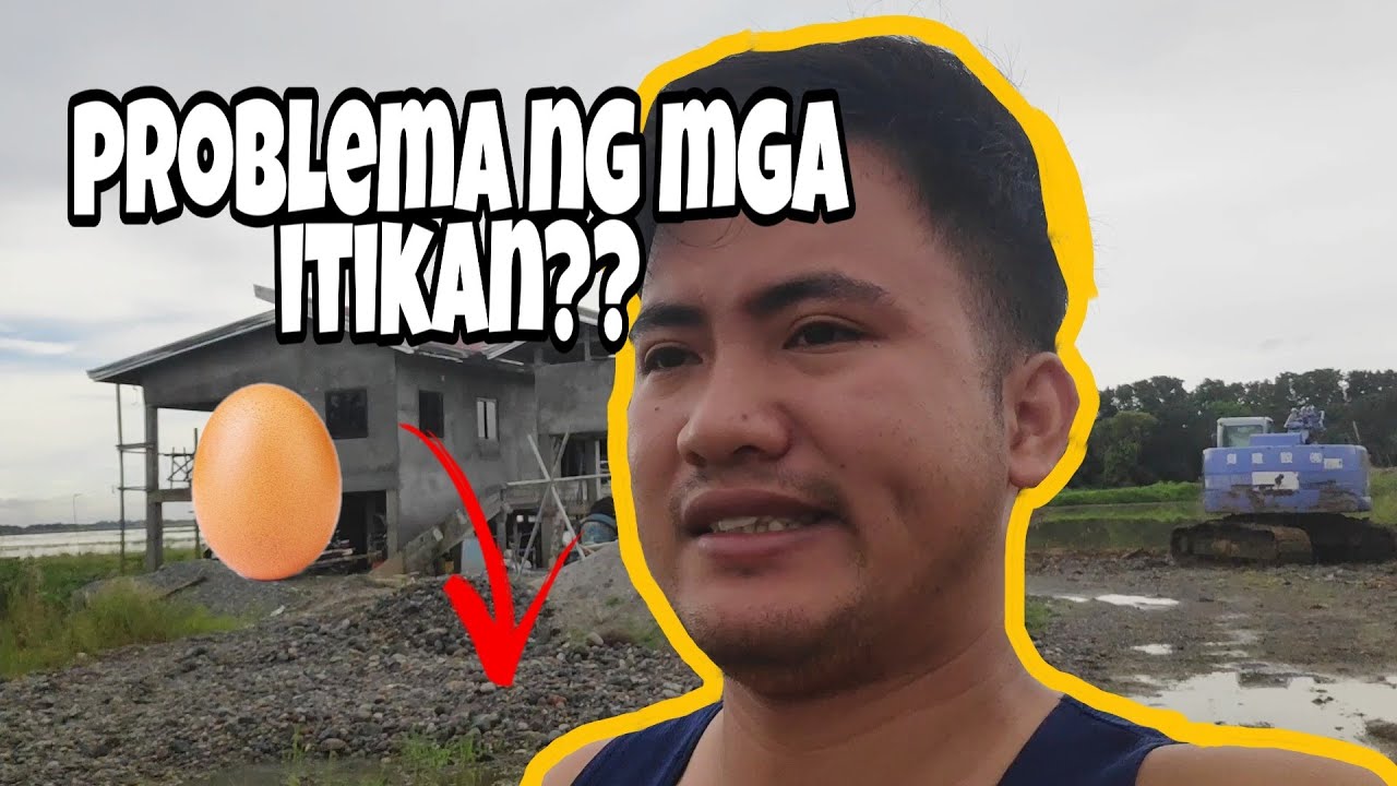 EP21 - ISA SA MGA KAHINAAN NG MGA POULTRY OWNERS, NAKAKALUNGKOT duck ...