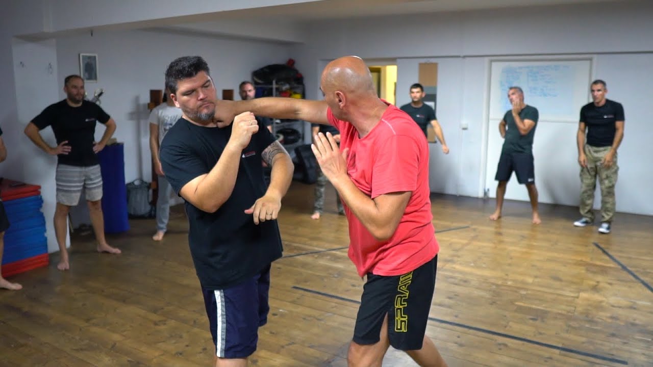 Systema NC with Alex Kostic (Systema Homo Ludens) - 2019 - YouTube