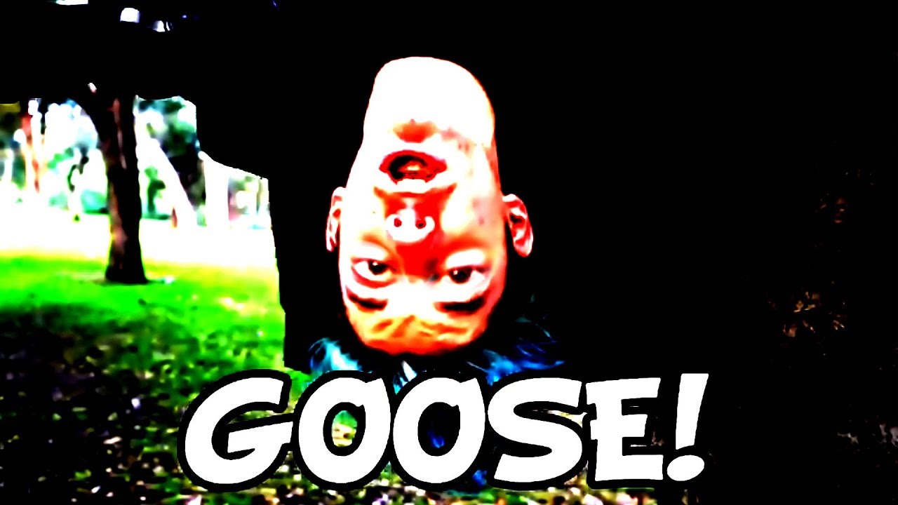 GOOSE! - YouTube