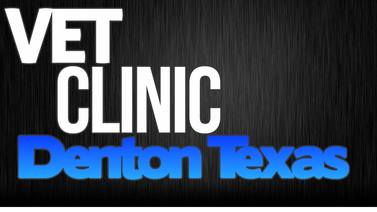 Vet Clinic Denton Texas - YouTube