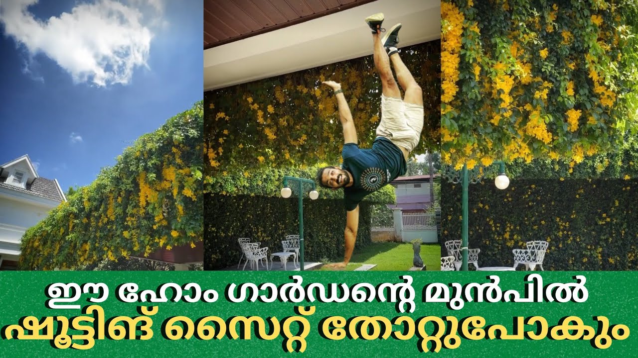 MOST BEAUTIFUL HOME GARDEN IN INDIA / HOME GARDEN TOUR KERALA ...