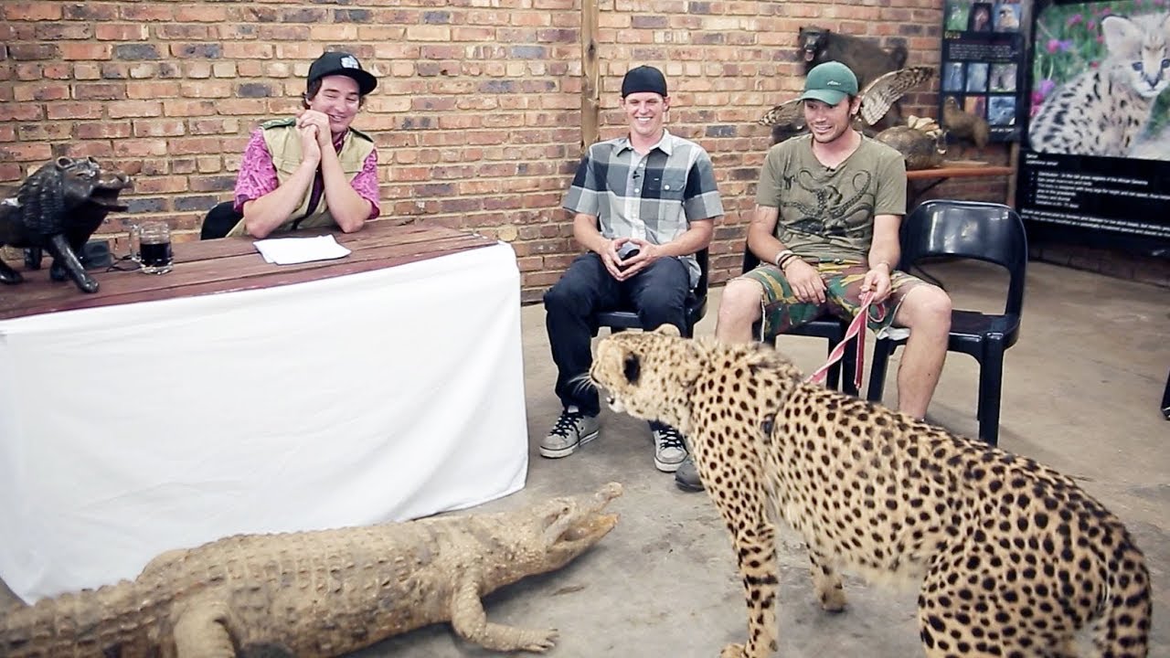 This Cheetah Hates Bilko | Cutting Room Floor - YouTube