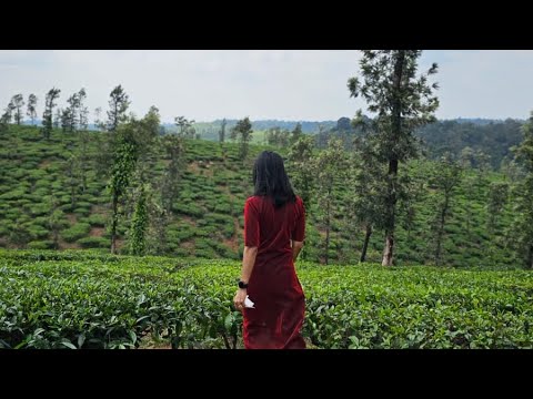 Visit to Coorg’s Tea Estate 💚 - YouTube
