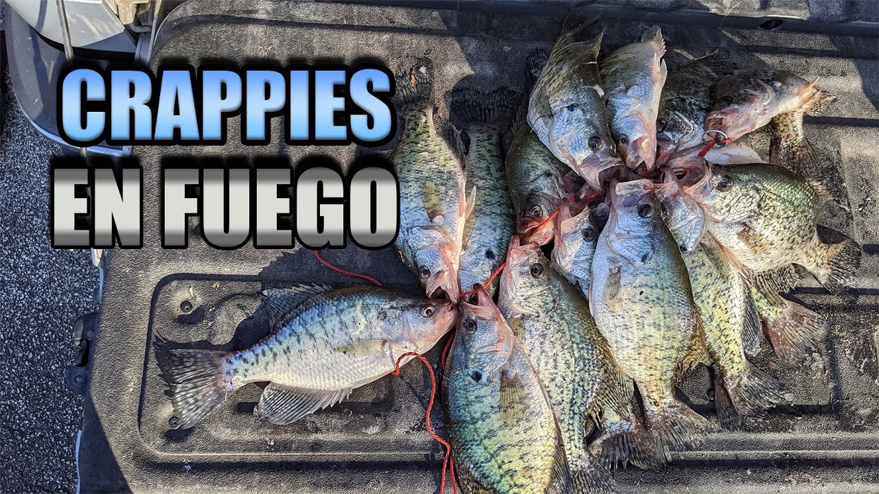 Spillway Crappie Were on Fire 🔥🔥🔥 - YouTube