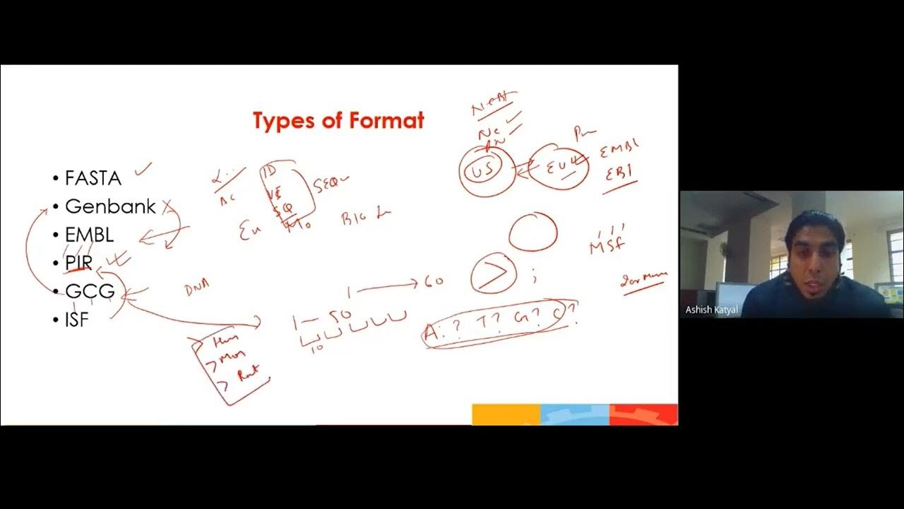 Bioinformatics Database Formats Tutorial - YouTube