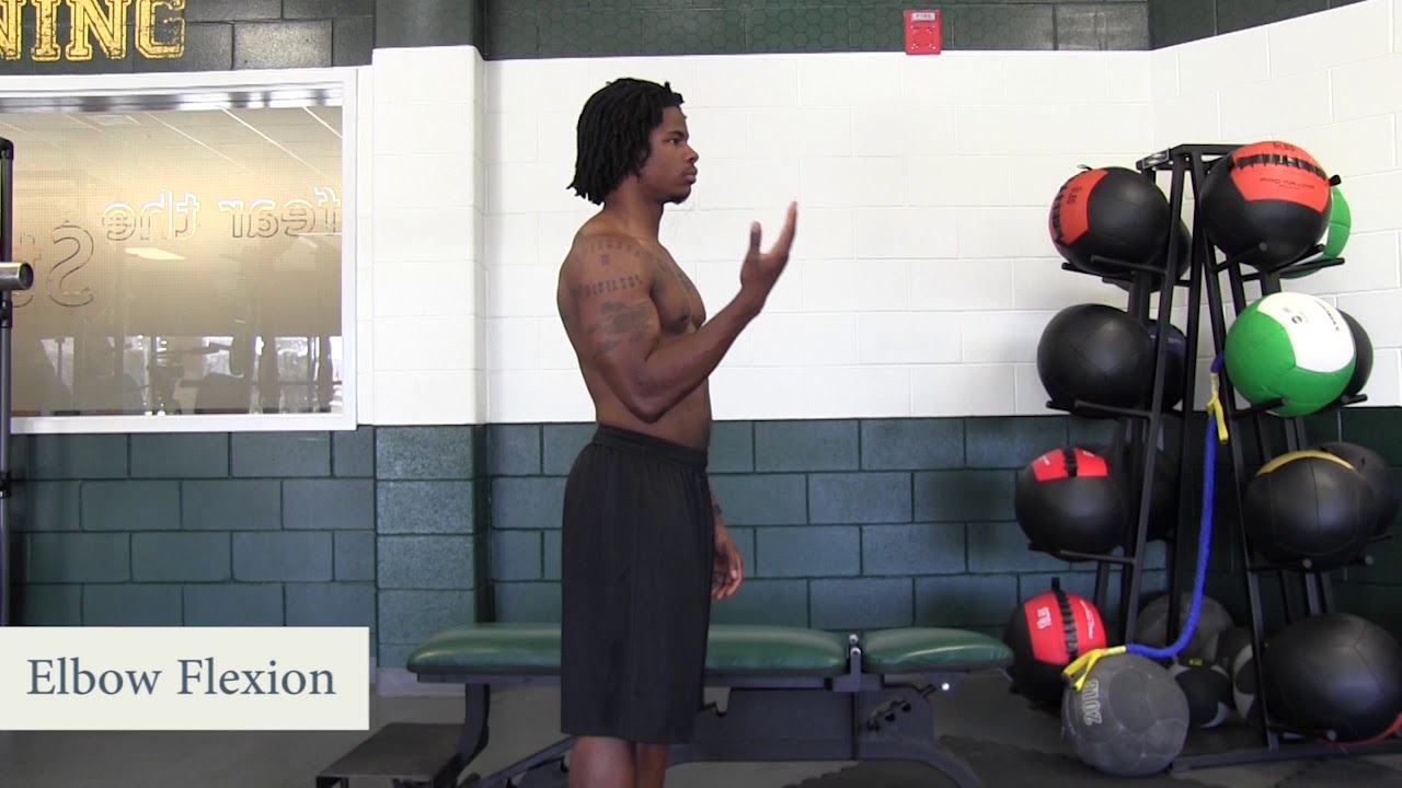 Elbow Flexion - YouTube