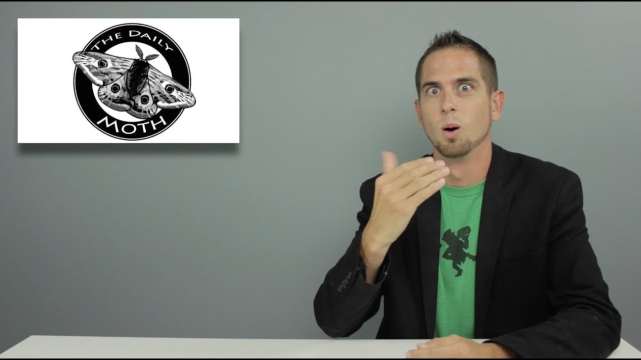 The Daily Moth 9-21-15 - YouTube