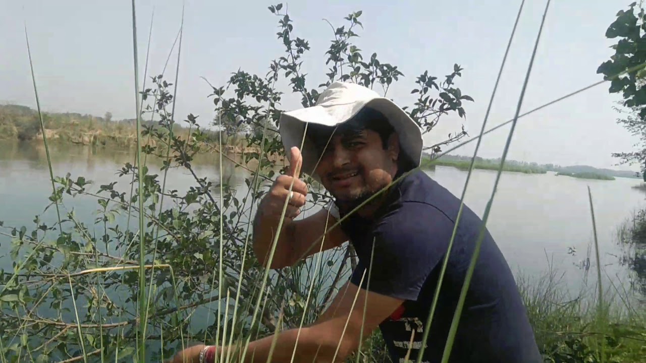 🐟4KG ROHU FISHING IN BHAKRA NANGAL DAM - YouTube