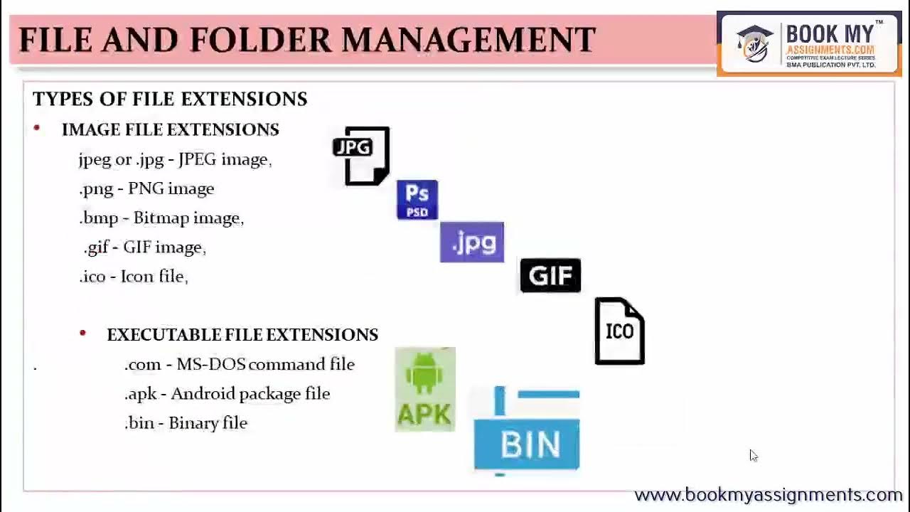 23 DIFFERENT TYPES OF FILE EXTENSIONS IN COMPUTER - YouTube