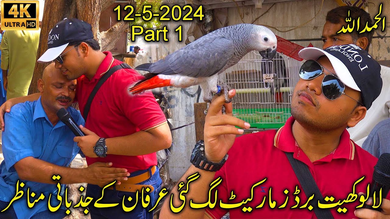 Lalukhet Exotic Birds and Rooster Market Karachi 12-5-24 Part 1 ...