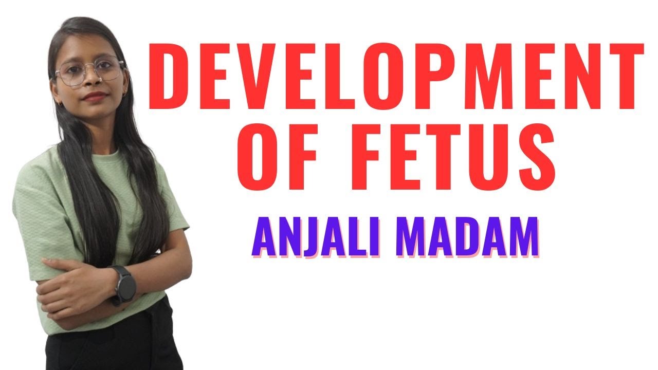 Development of Fetus II Midwifery and Gynaecological Nursing II Anjali ...
