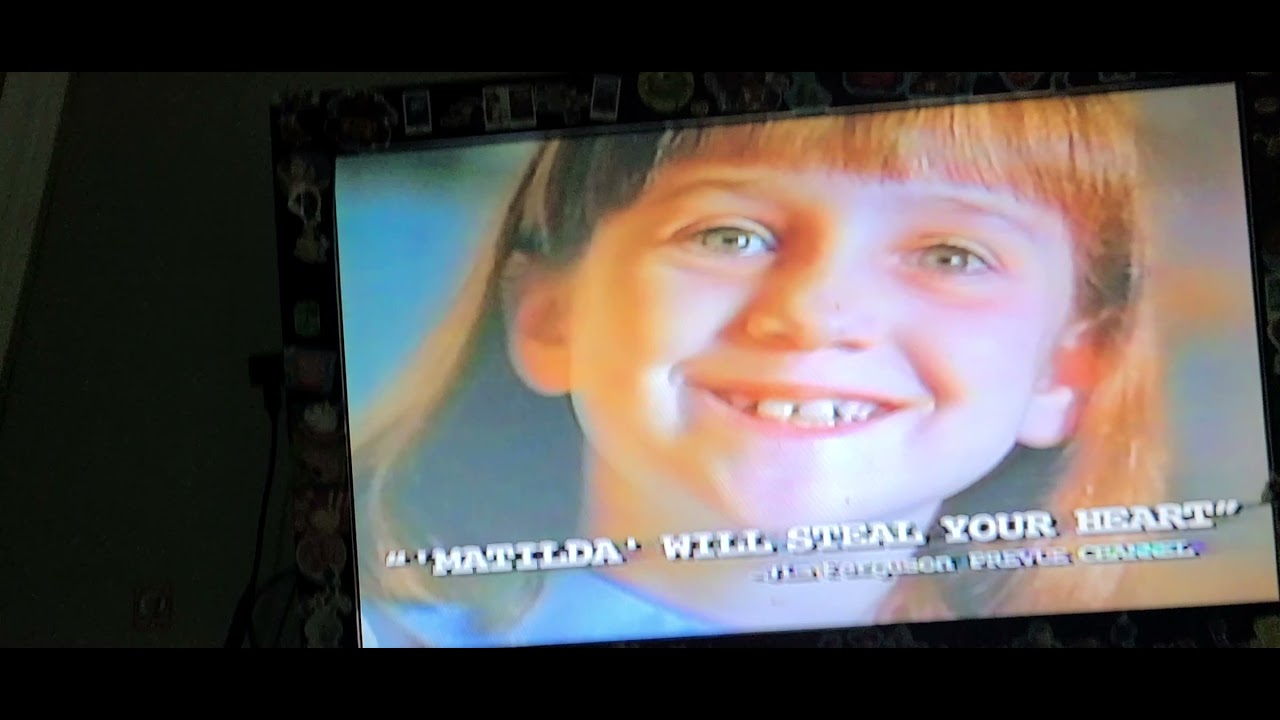 Opening To Stuart Little 2000 VHS - YouTube