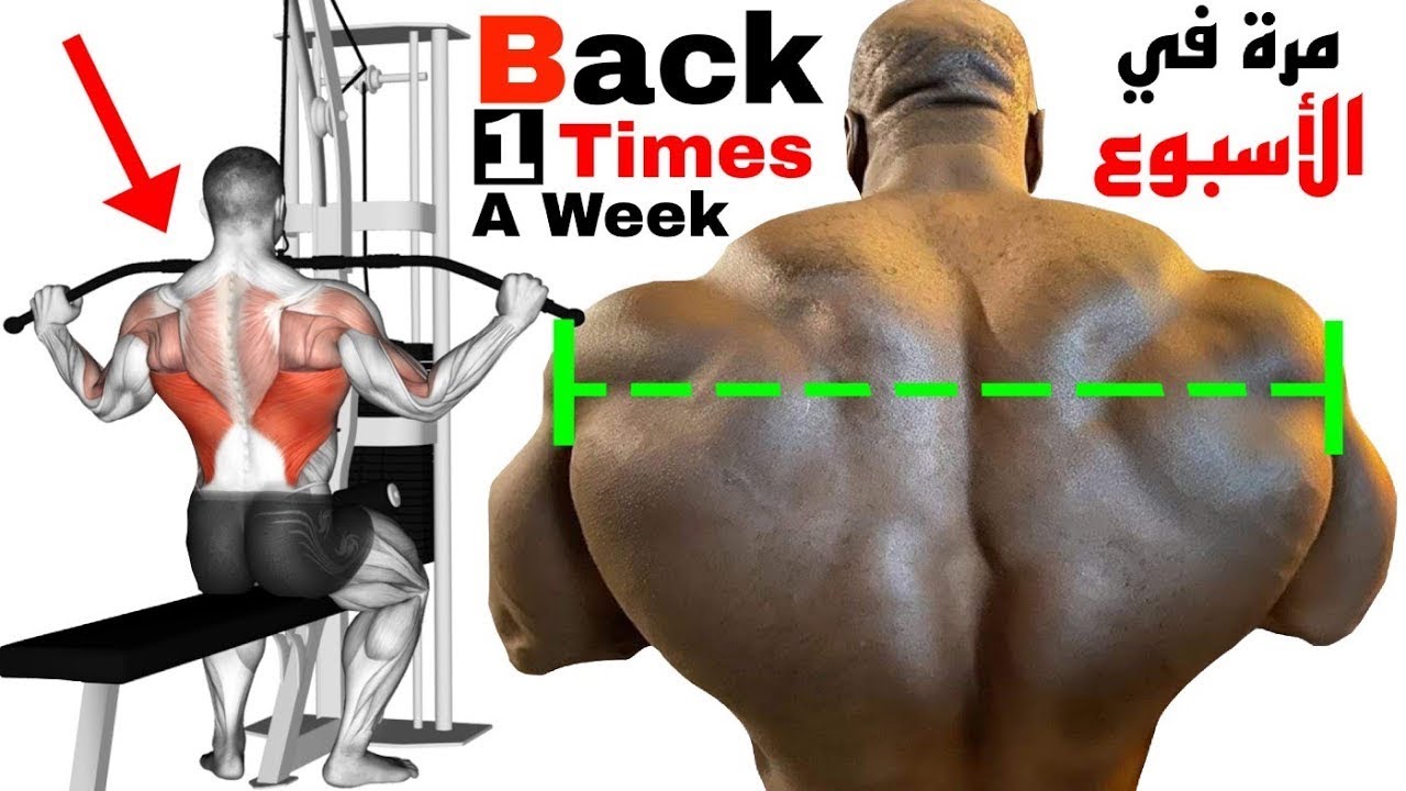 Back Workout at the Gym: Strengthen Your Spine and Transform Your ...