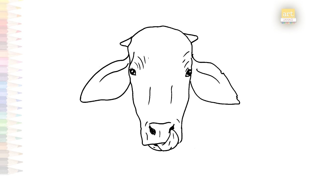 Cow head drawing easy | Animal drawing tutorial | How to draw A Cow ...