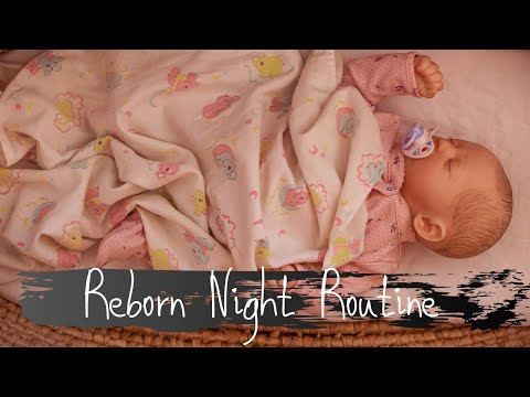 Willow's First Night Home l Reborn Night Routine l Reborn Life