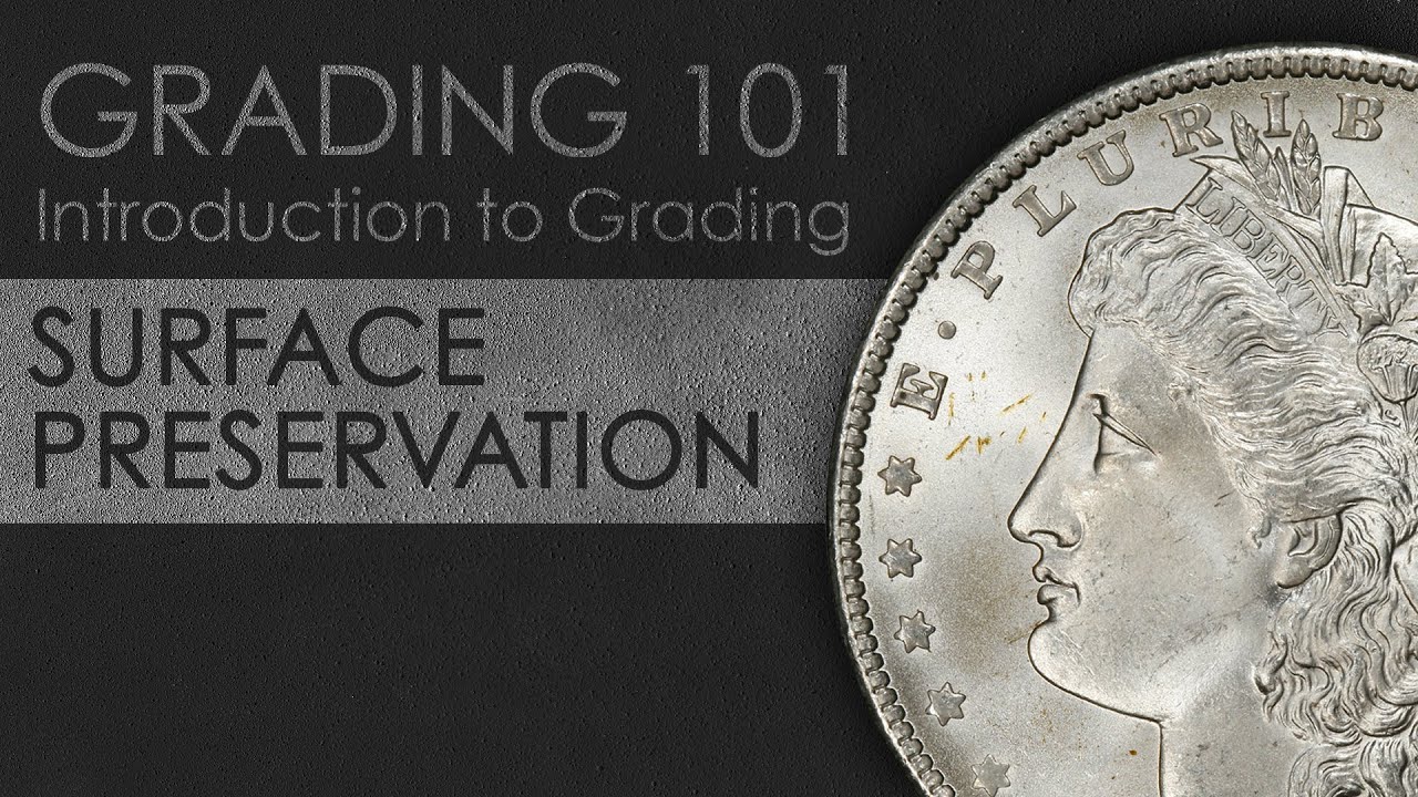 SURFACE PRESERVATION: Introduction to Coin Grading Using Mint State ...