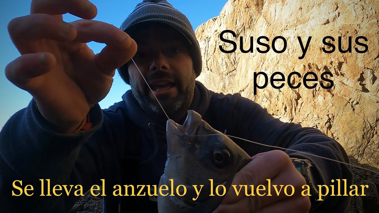 Me lleva el anzuelo y en el siguiente lance lo vuelvo a pillar. - YouTube