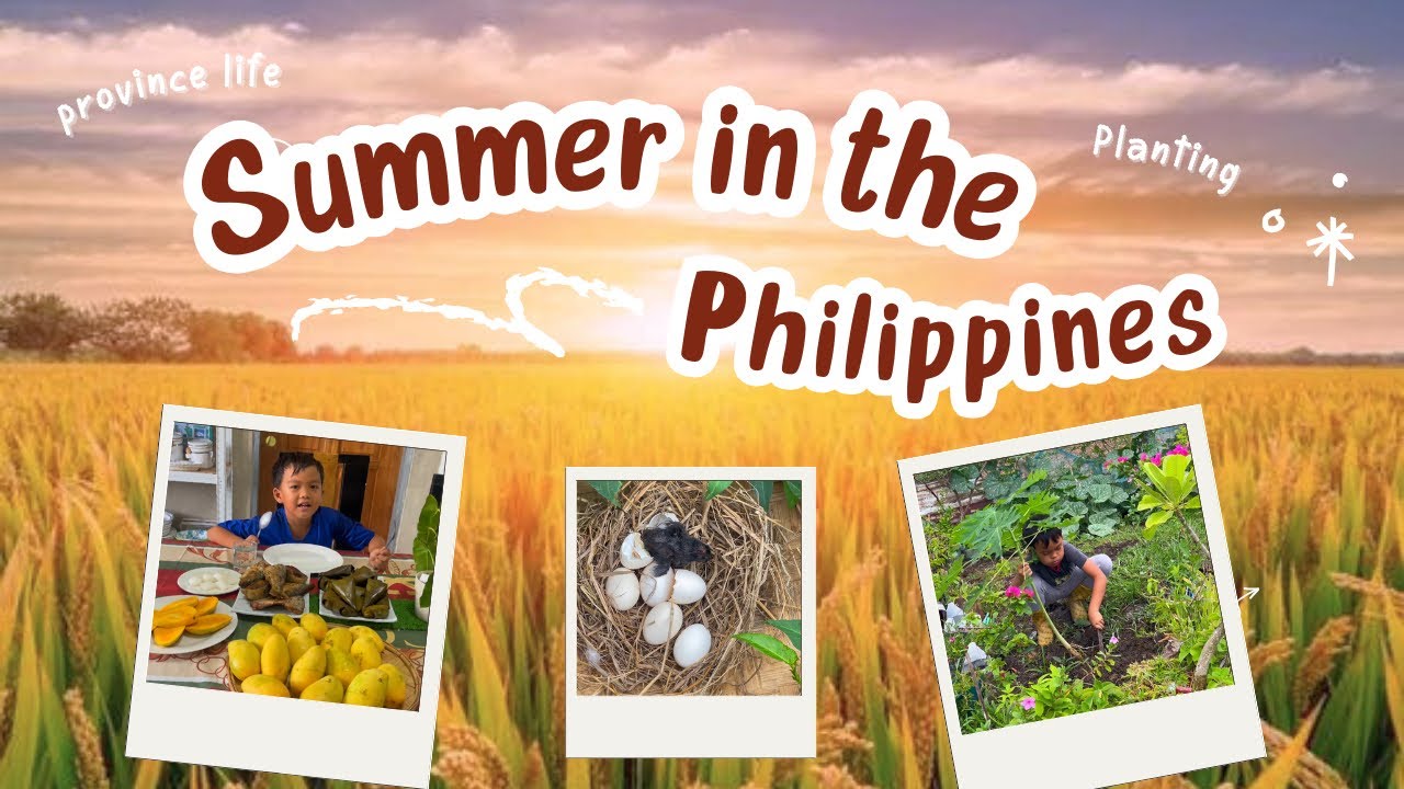 Summer in the Philippines | Short Vlog - YouTube