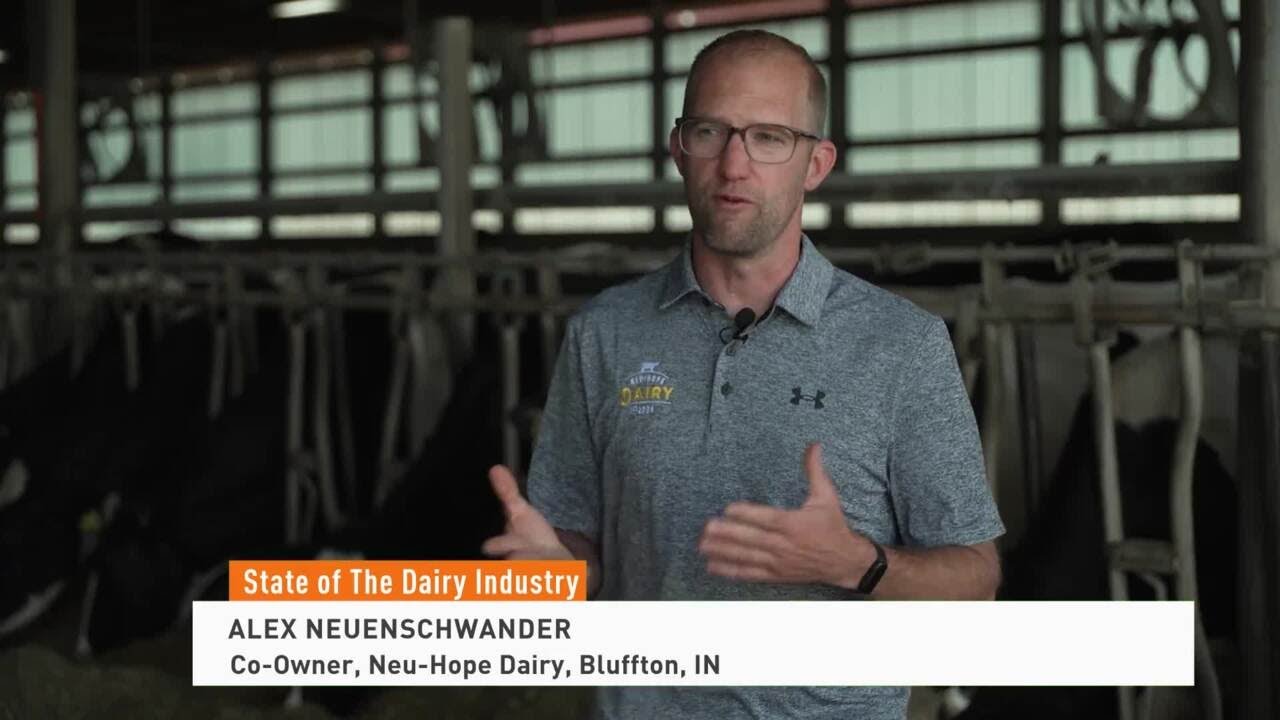 Beef on Dairy: Current Trends and Insights in the Dairy Industry - YouTube