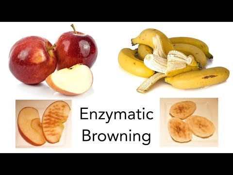 Why Apples Turn Brown Enzymes
