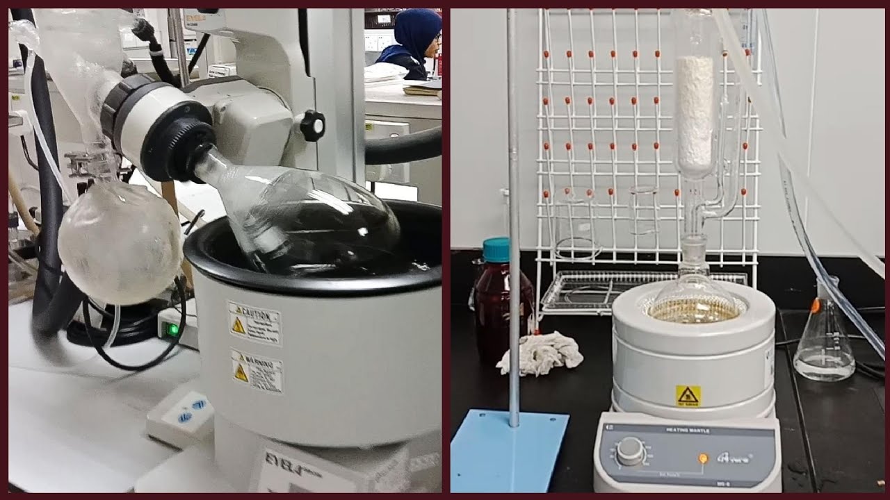 Herbal Extraction process by using Soxhlet and Rotavapor | curry leave ...