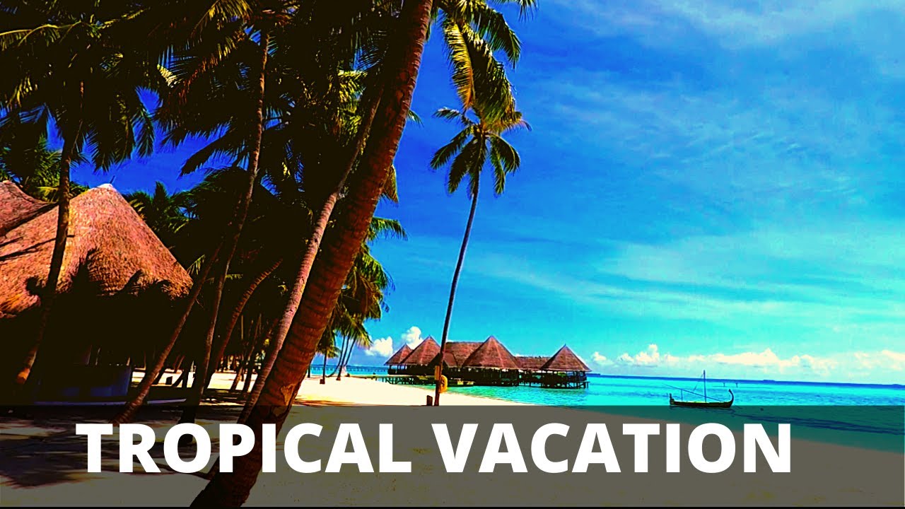 Tropical Vacation Music -Relaxing Music Video - YouTube
