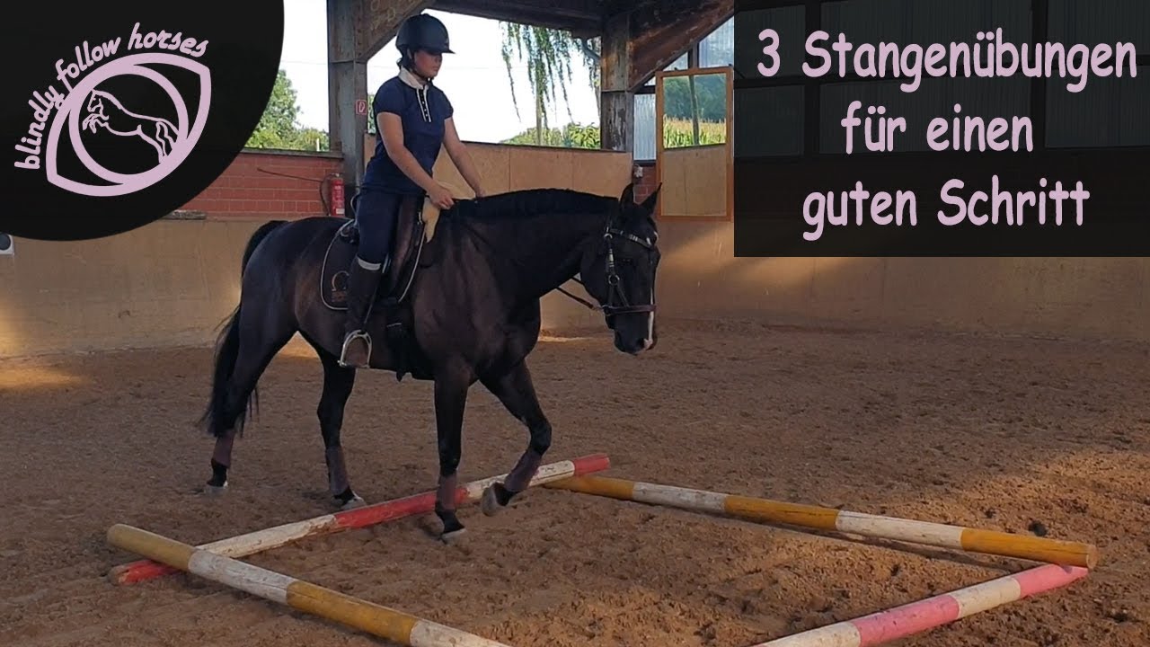 3 Übungen mit Stangen, für die Schrittarbeit! - YouTube
