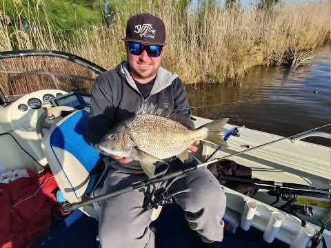Nicholson river bream fishing Gippsland westernport angling club comp ...