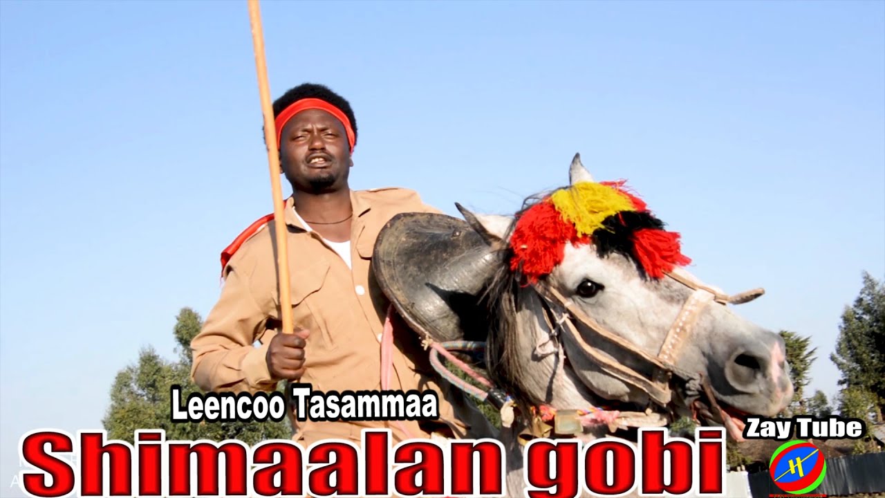 Leencoo Tasammaa - Shimaalan gobi - New Ethiopian Oromo Music - 2024 ...