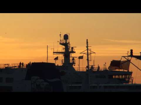 Free Stock Video Download - Free Stock Video Footage - Free Stock Videos at Videvo.net