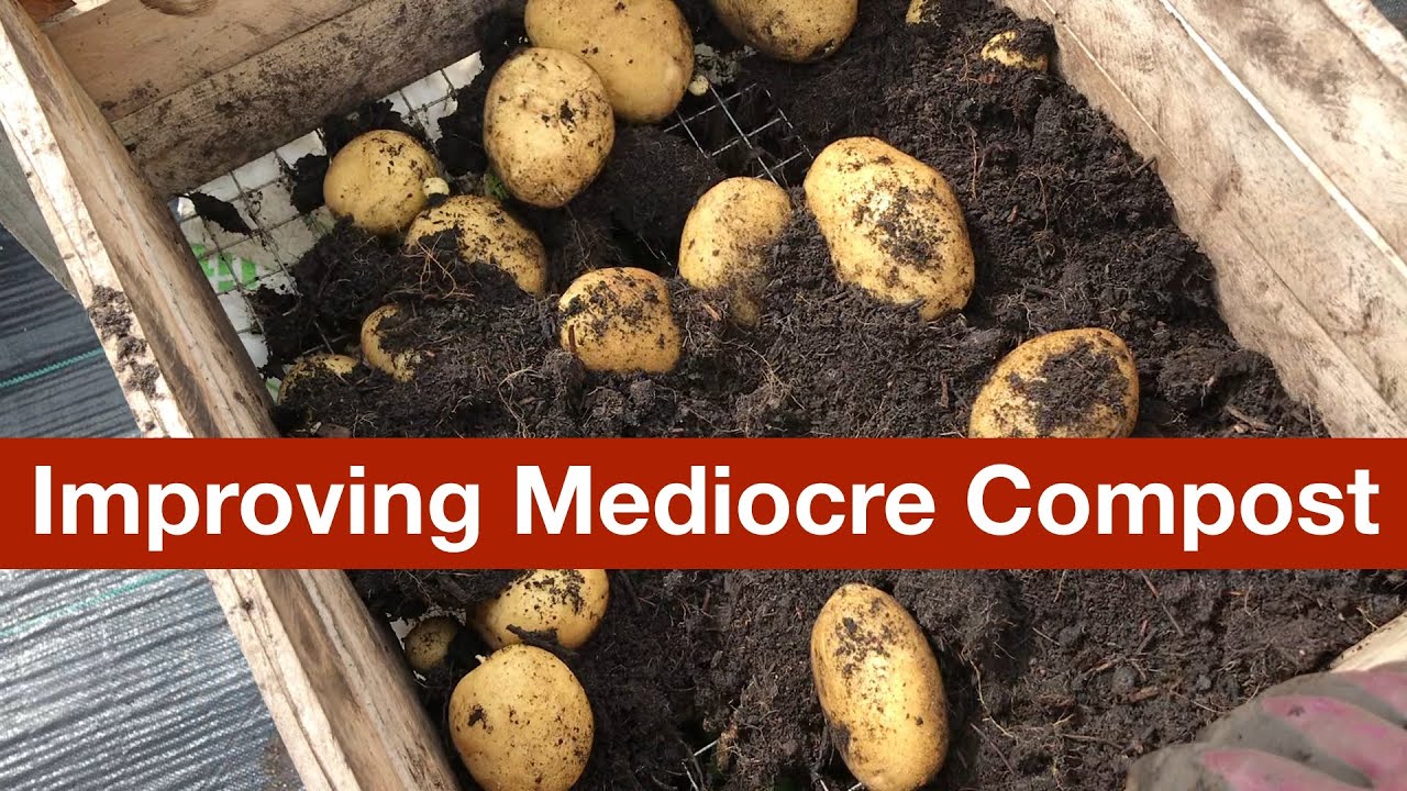 Improving Mediocre Compost - Part 1 of the Potato Grow Bag Trials - YouTube
