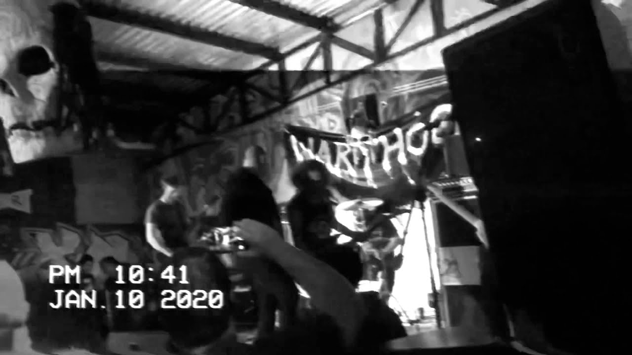 WARTHOG - YouTube